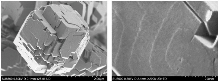 日立 超高分辨场发射扫描电子显微镜SU8600系列 - 富泰微科学仪器(上海)有限公司官方网站